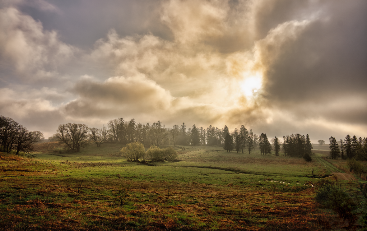 DC LAND GROUP | official website of DC LAND GROUP LLC. – Trusted Land ...